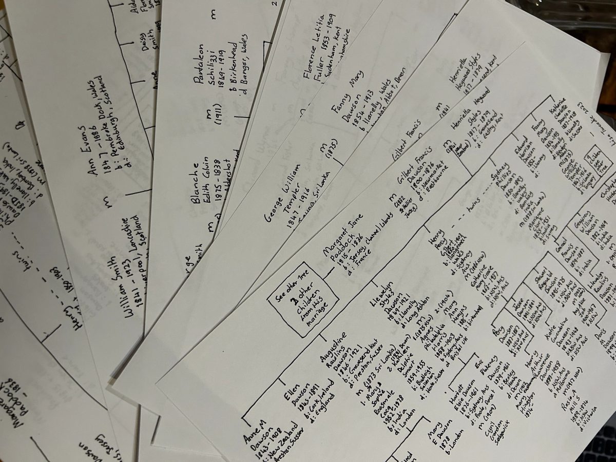 Twins, tree’s and other musings while drawing – Common Ancestor Tales